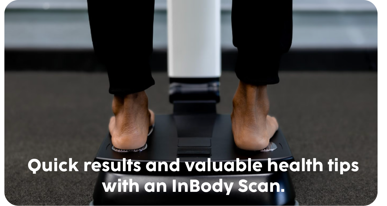 InBody Wellness Scan: Your Body Composition and Health Metrics